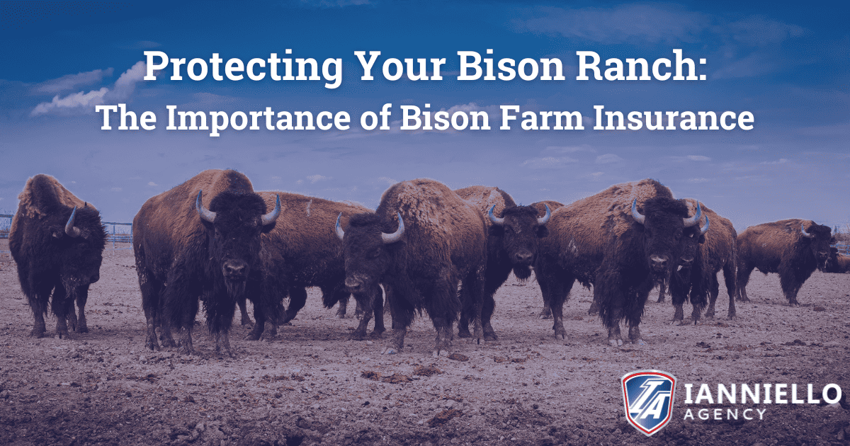 Protecting Your Bison Ranch: The Importance of Bison Farm Insurance